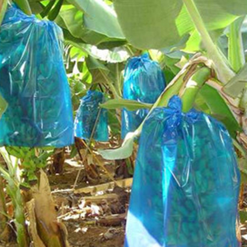 Heat Seal Plastic Blue PE Bag For Banana Bunch Covers 20-200microns